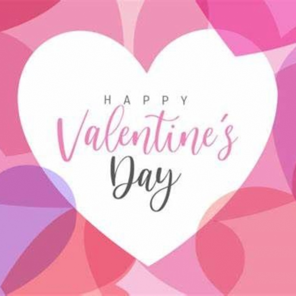 Violet Way Academy - Newsletter