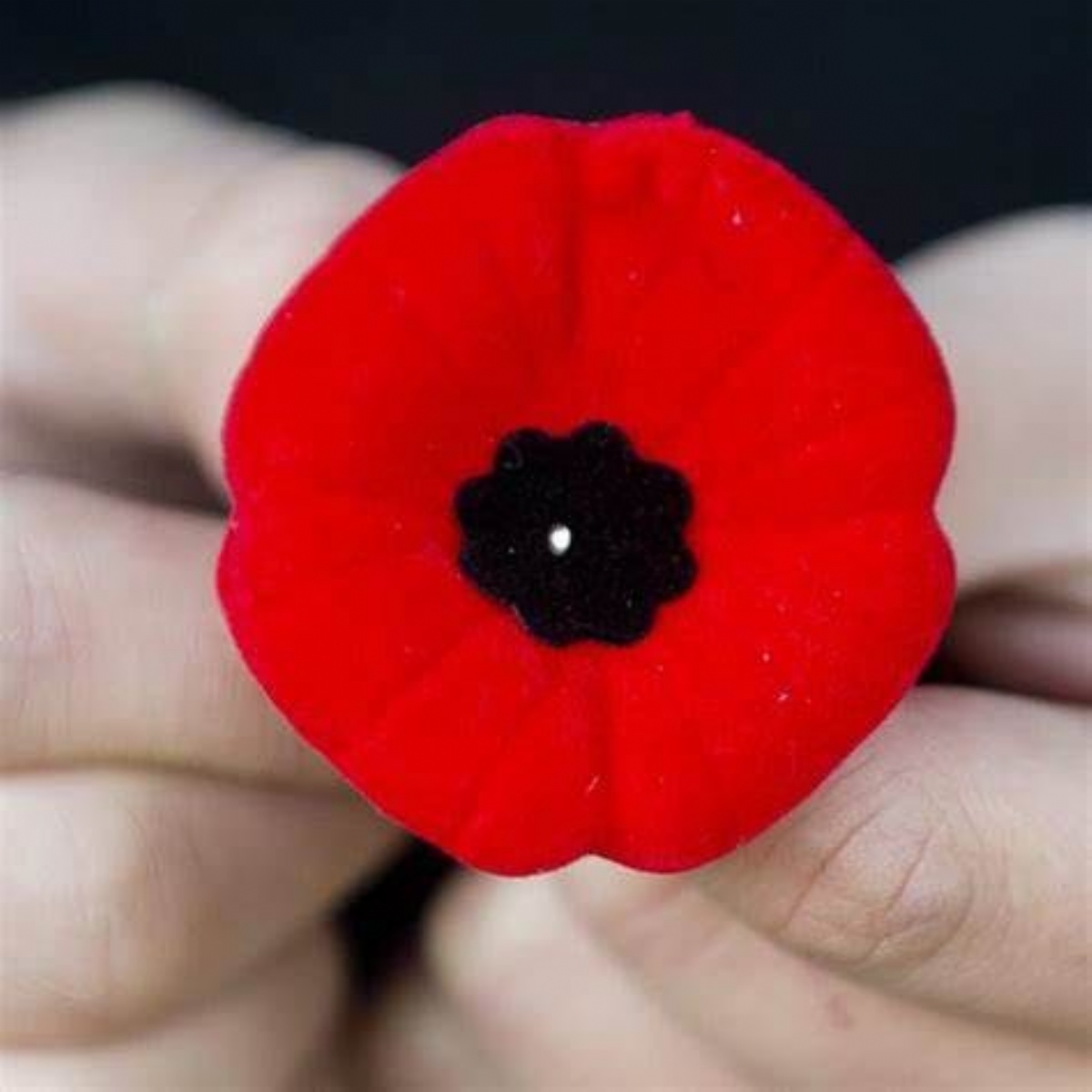 Violet Way Academy - Newsletter 19.10.23