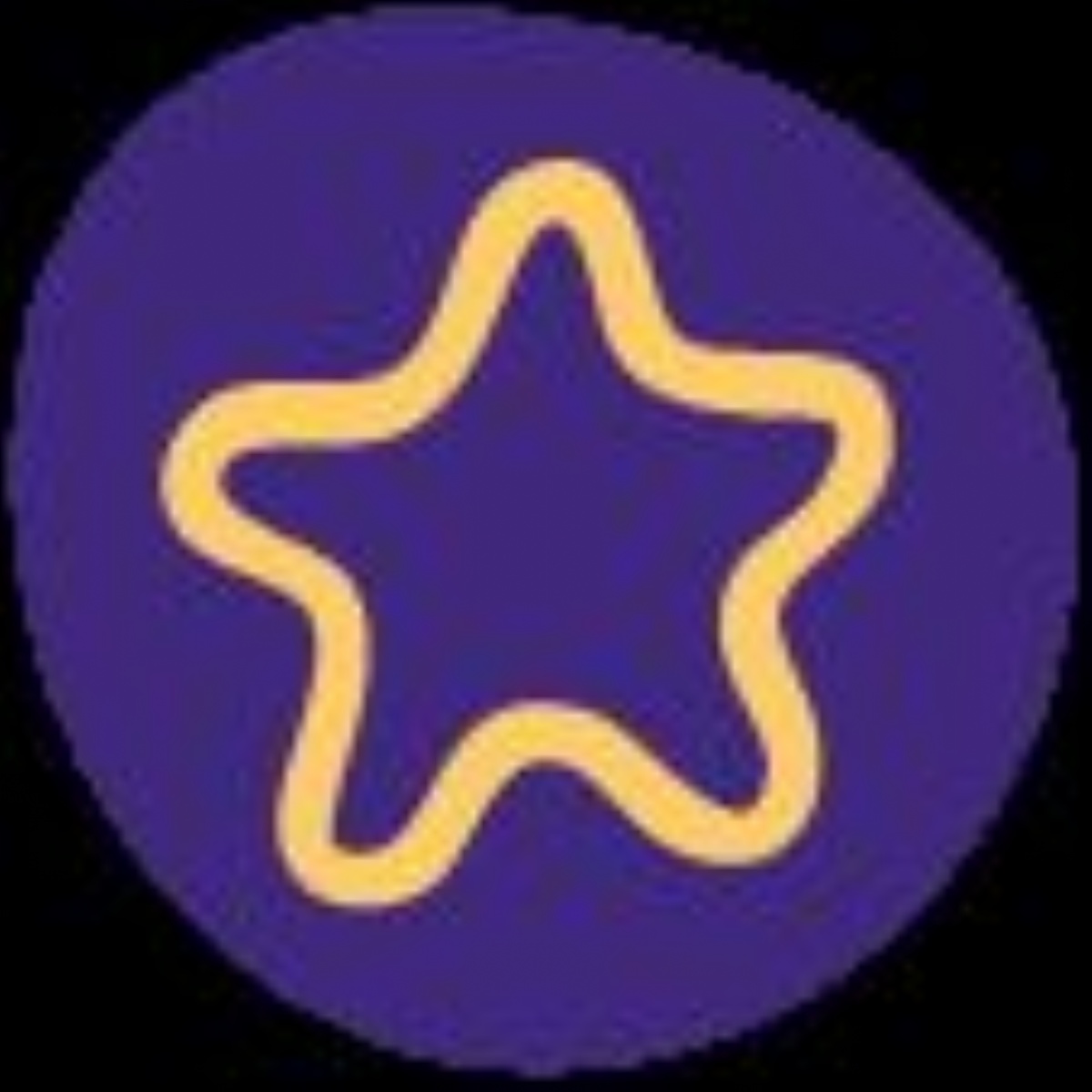 Violet Way Academy - Newsletter 24.11.23