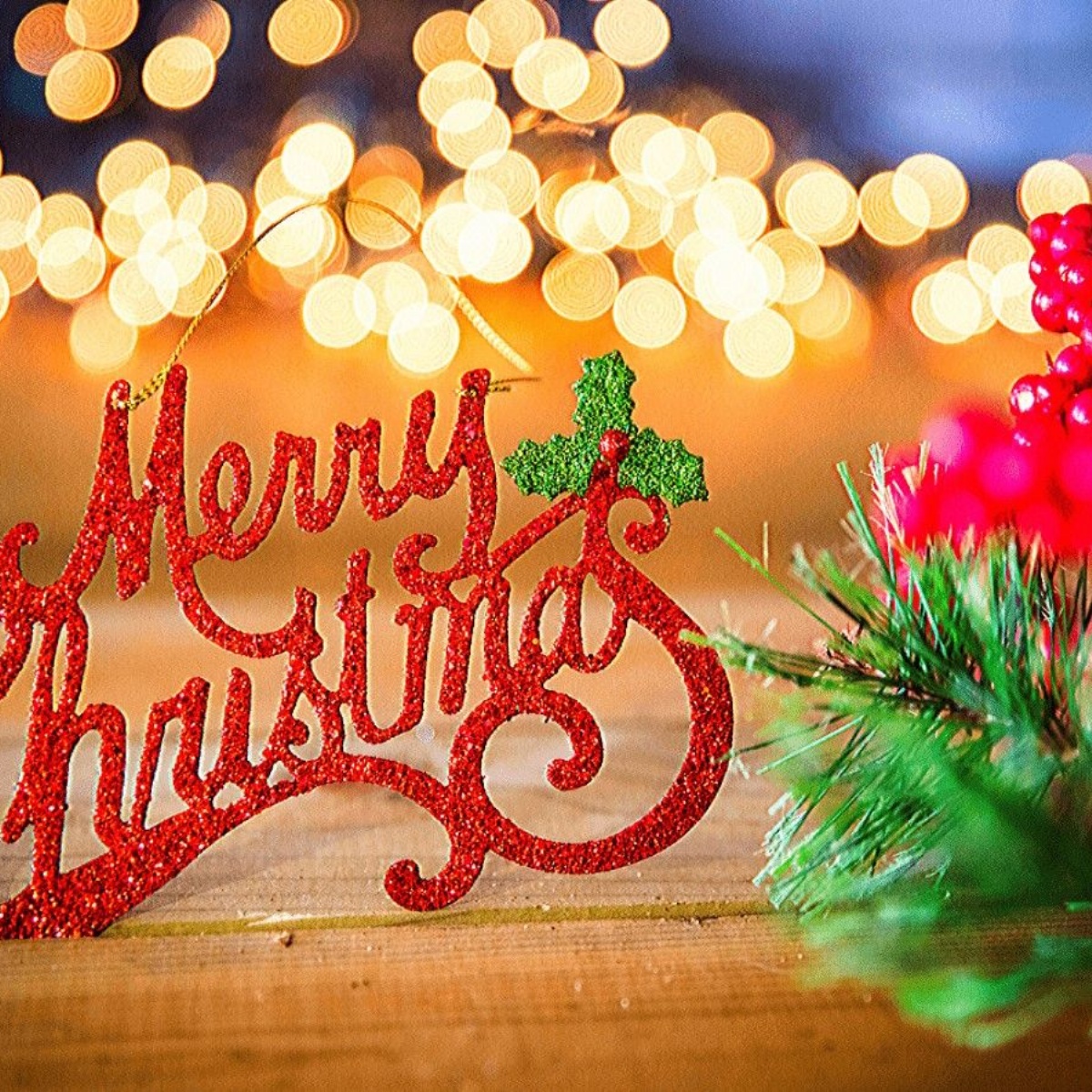 Violet Way Academy - Newsletter 22.12.23