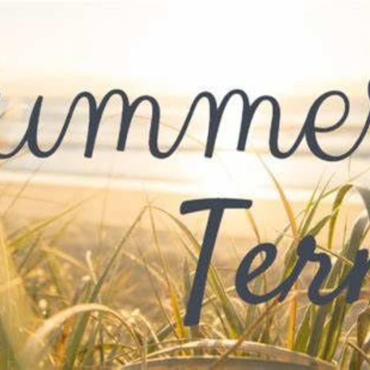 Violet Way Academy - Newsletter 12.4.24